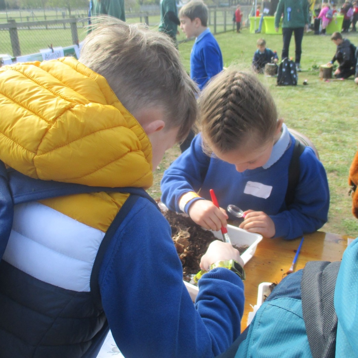 Suffolk Farm Fair - Mendham Primary School